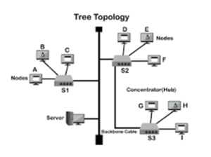 Exploring Network Topologies: Which is Best for Your Business? – Coding ...